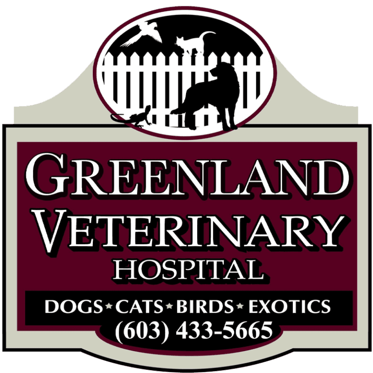 AAHA-Accredited Animal Clinic in Greenland, NH | Greenland Veterinary ...